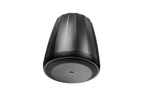 CONTROL 65 P/T ALTAVOZ COLGANTE COMPACTO DE AMPLIO ESPECTRO - Ickrom